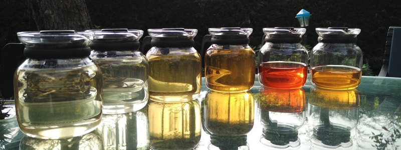 A-La-Carte Tours |Tour & Travel